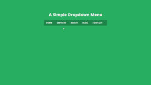 25 Menus Responsivos em HTML e CSS [GRATUITOS]
